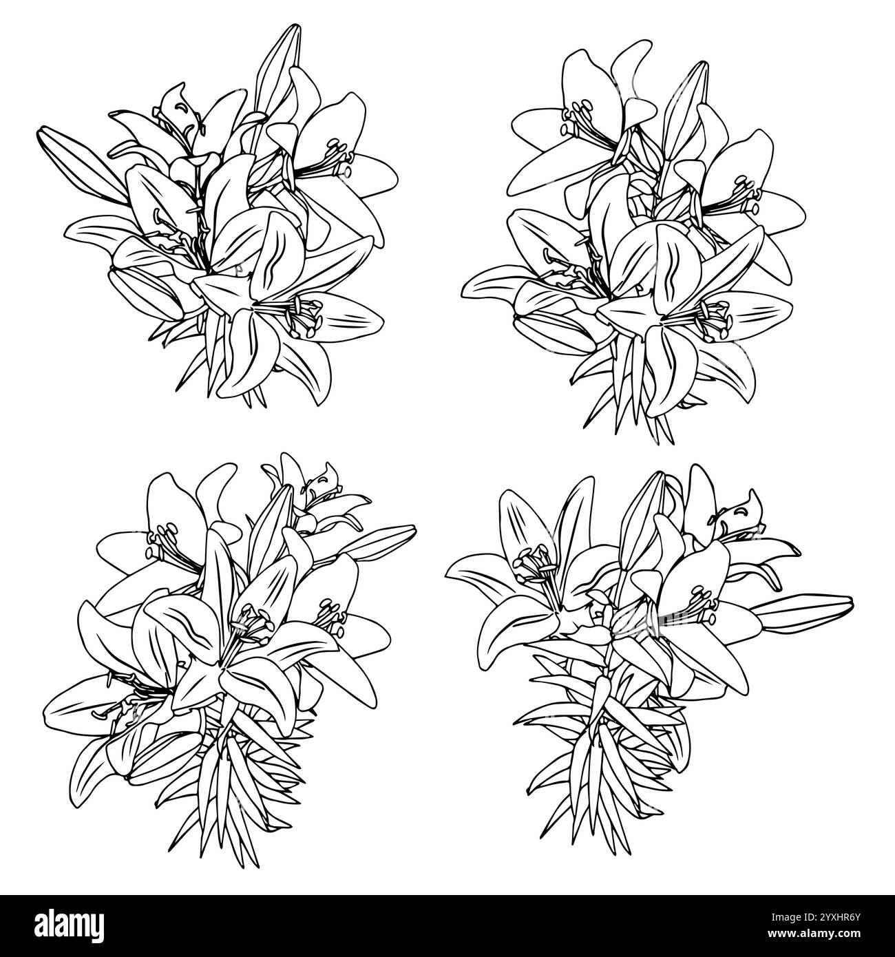 Set of lily bouquets in doodle style. Vector illustration isolated on white background Stock ...
