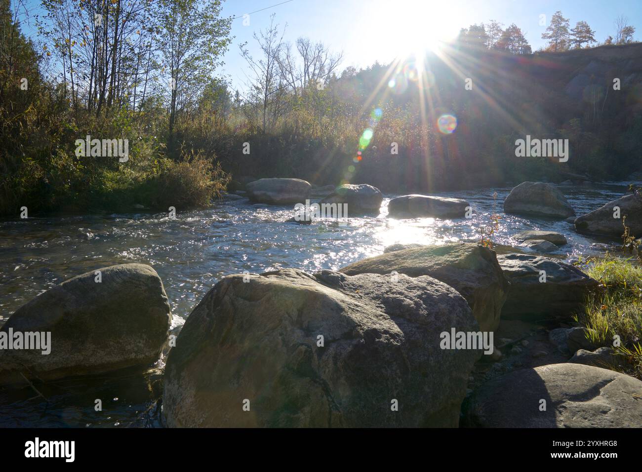 River with morning mist and lens flare in the public park Stock Photo ...