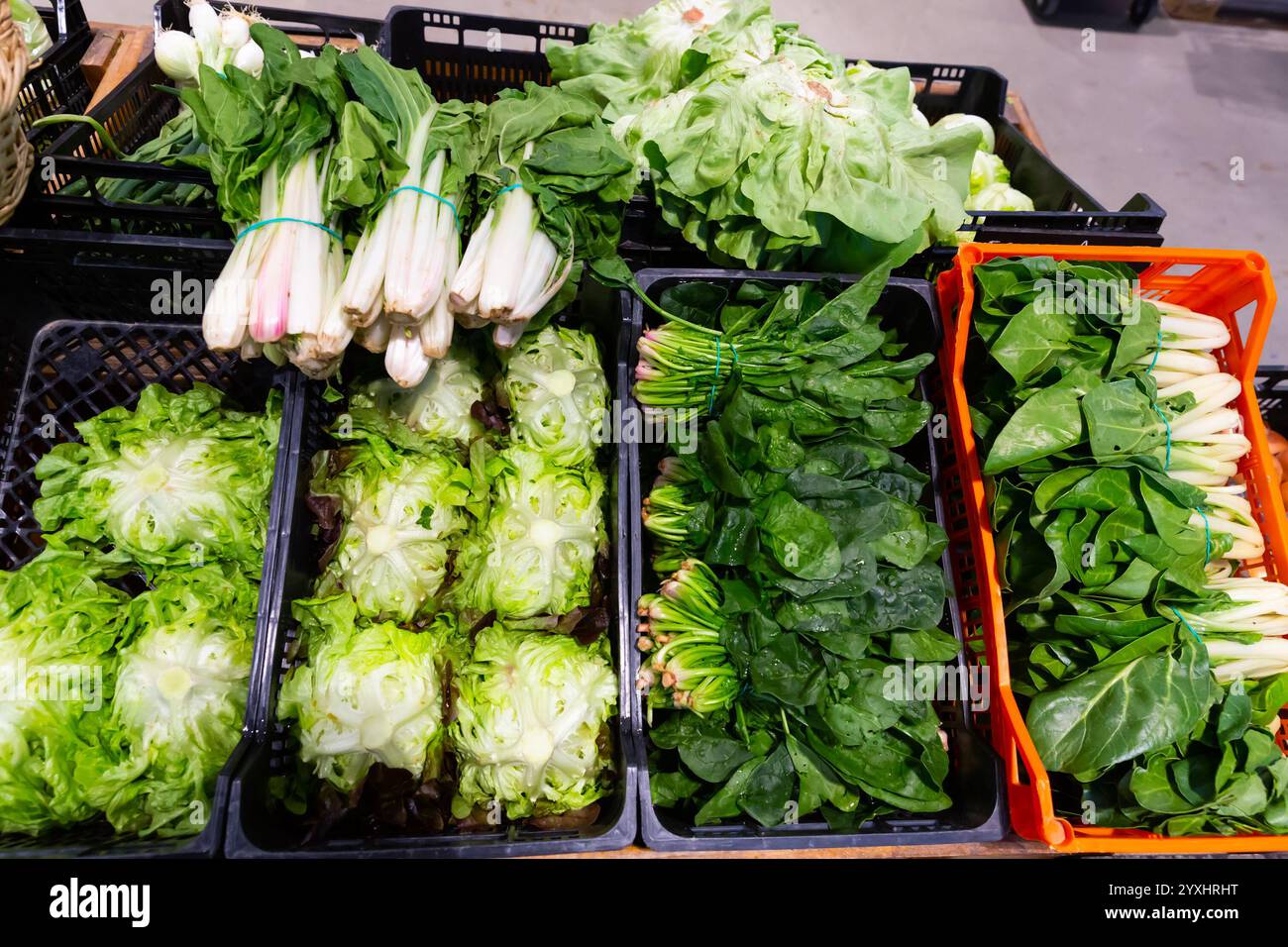 Fresh greens in supermarket Stock Photo - Alamy