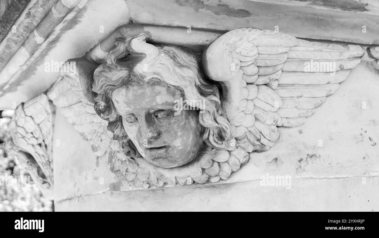 Stone angel head face sculpture closeup, detailed monument carving with ...