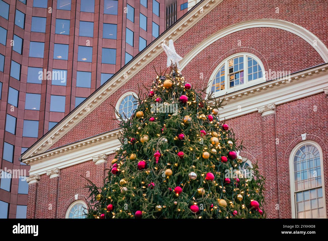 Christmas Tree at Quincy Hall-Faneuil Hall Marketplace in Boston ...