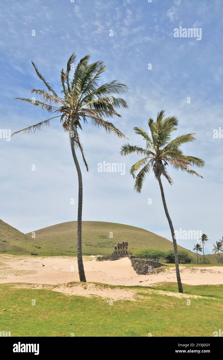 Anakena coral sand beach in Rapa Nui National Park (Easter Island) with ...