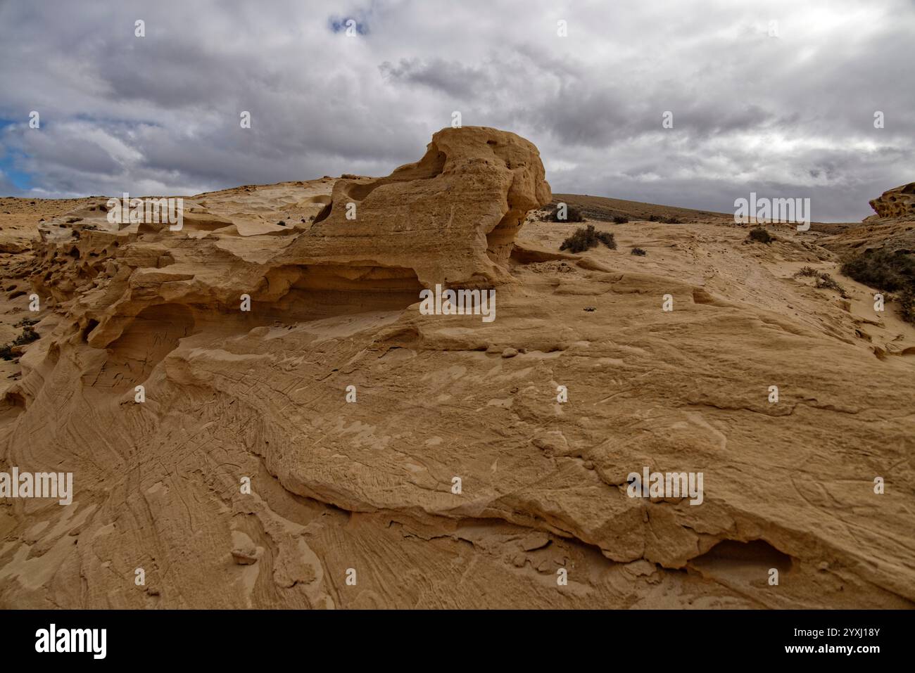 Fuerteventura, Canary Islands, Spain. 11th Dec, 2024. Fuerteventura is ...