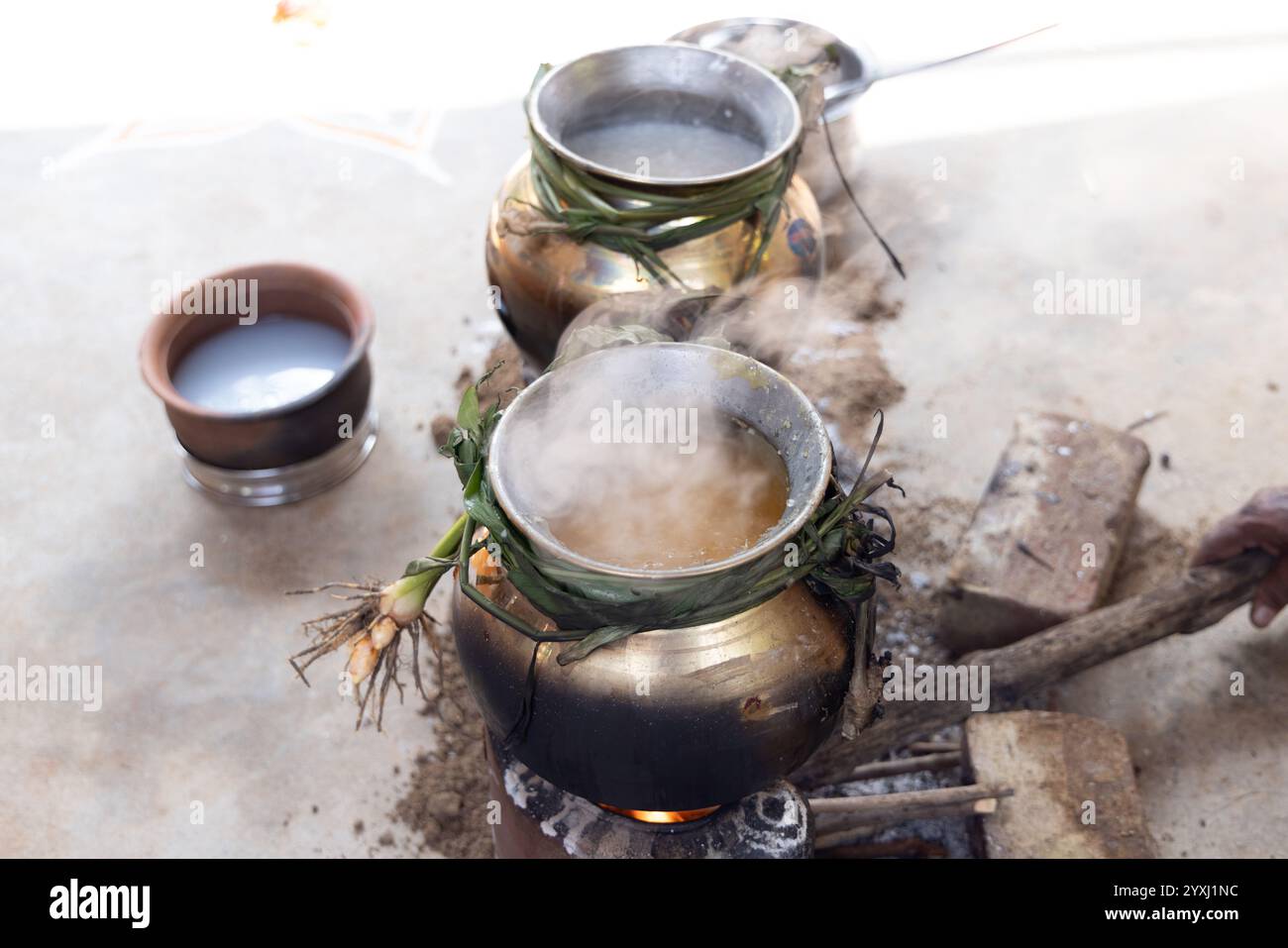 celebrating Traditional Thai Pongal festival to sun god with pot, lamp ...