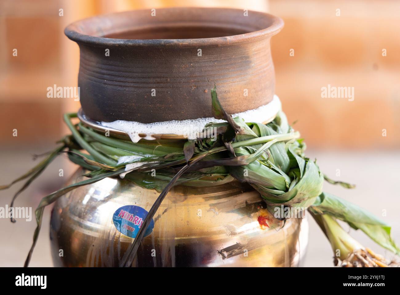 celebrating Traditional Thai Pongal festival to sun god with pot, lamp ...