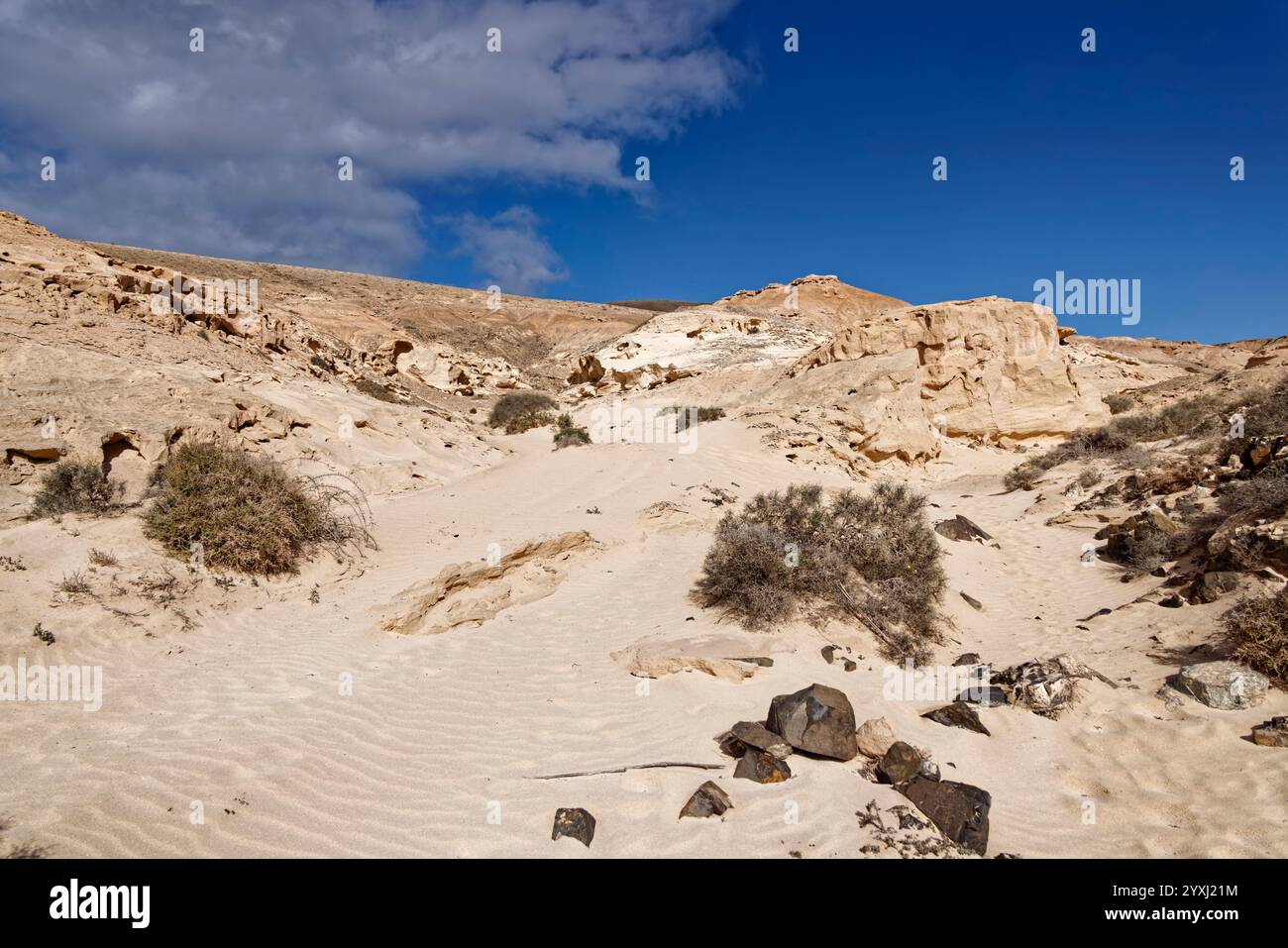 Fuerteventura, Canary Islands, Spain. 11th Dec, 2024. Fuerteventura is ...
