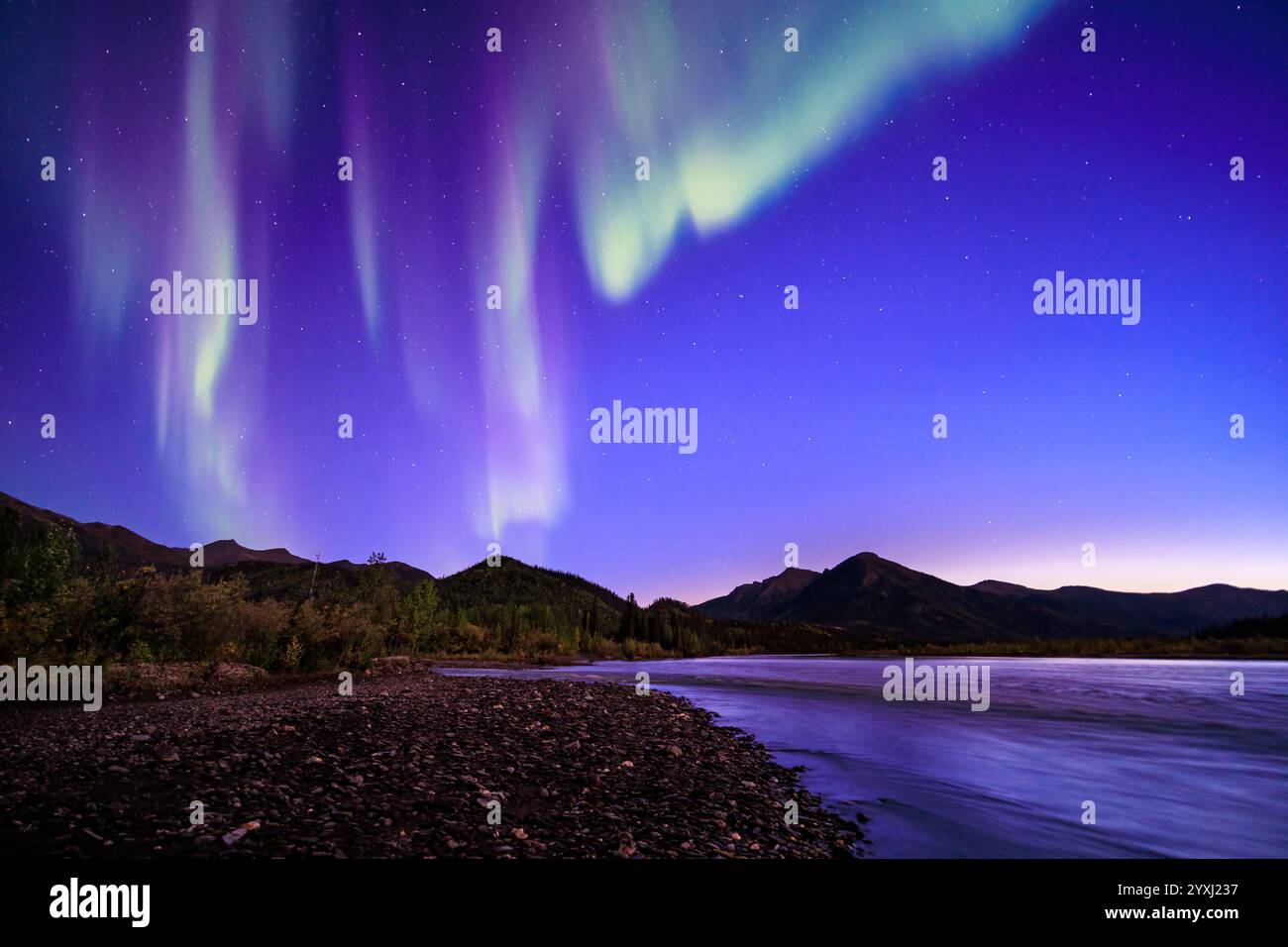 The Aurora Borealis dances over the Koyukuk River above the Arctic ...