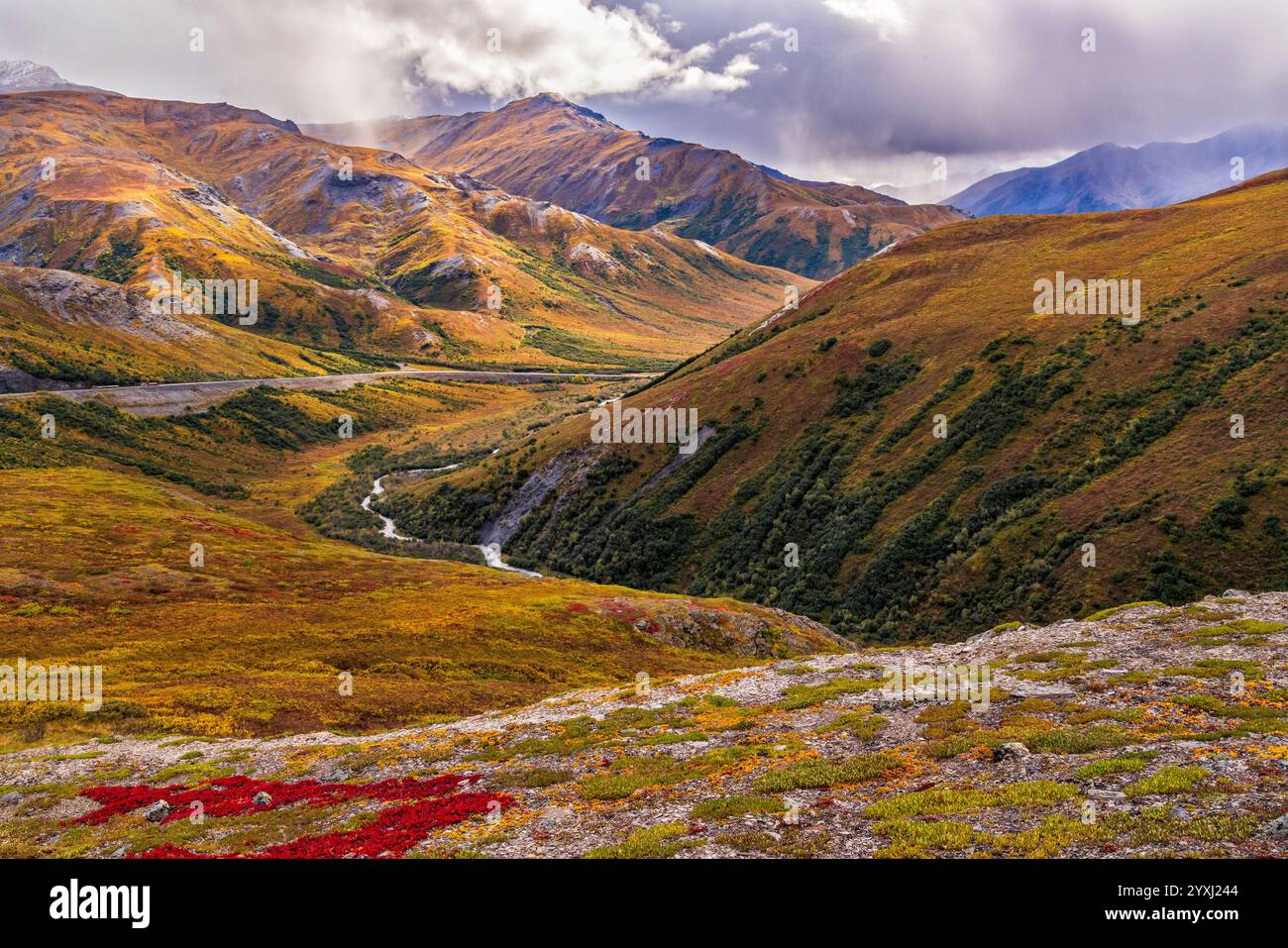 Looking down over rich fall color on the tundra above the Dietrich ...