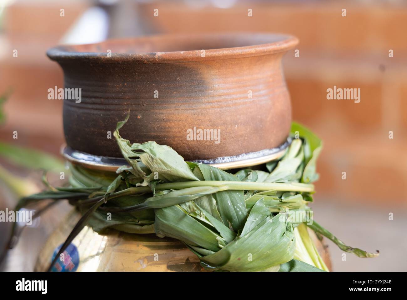 celebrating Traditional Thai Pongal festival to sun god with pot, lamp ...