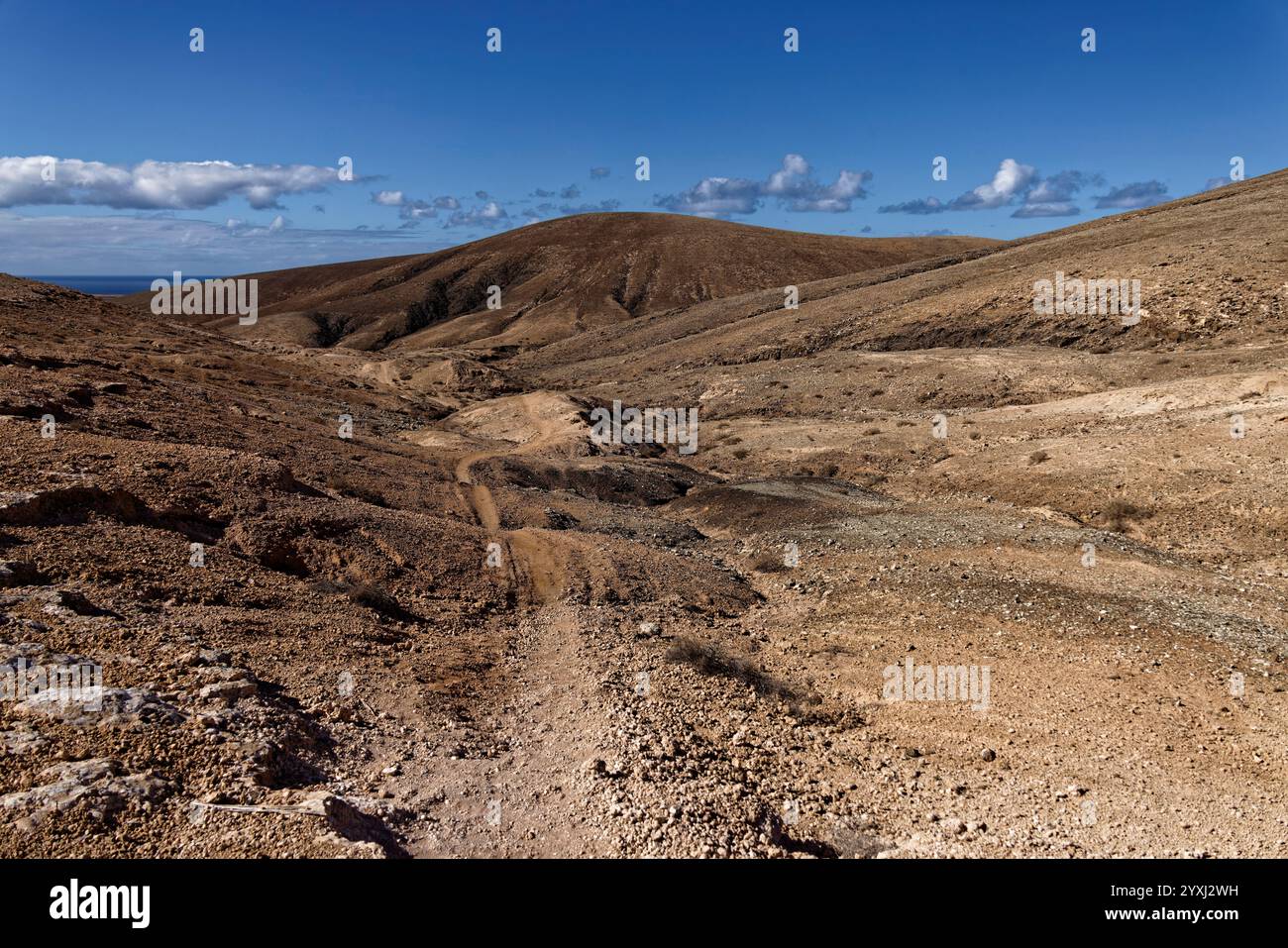 Fuerteventura, Canary Islands, Spain. 11th Dec, 2024. Fuerteventura is ...