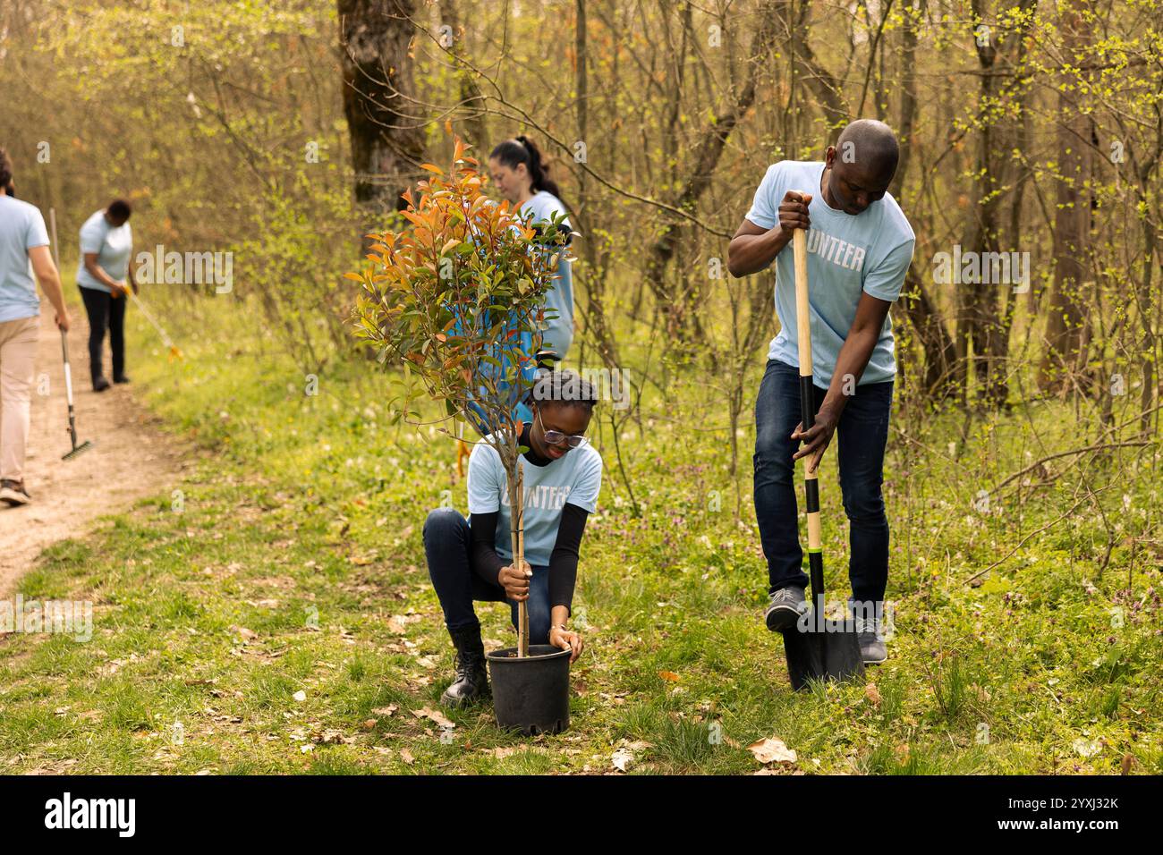 African american activists digging holes and planting trees in the ...