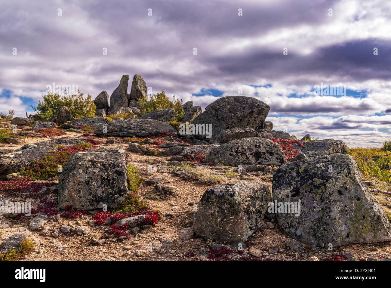 Red bearberry groundcover surrounds lichen covered boulders on Finger ...