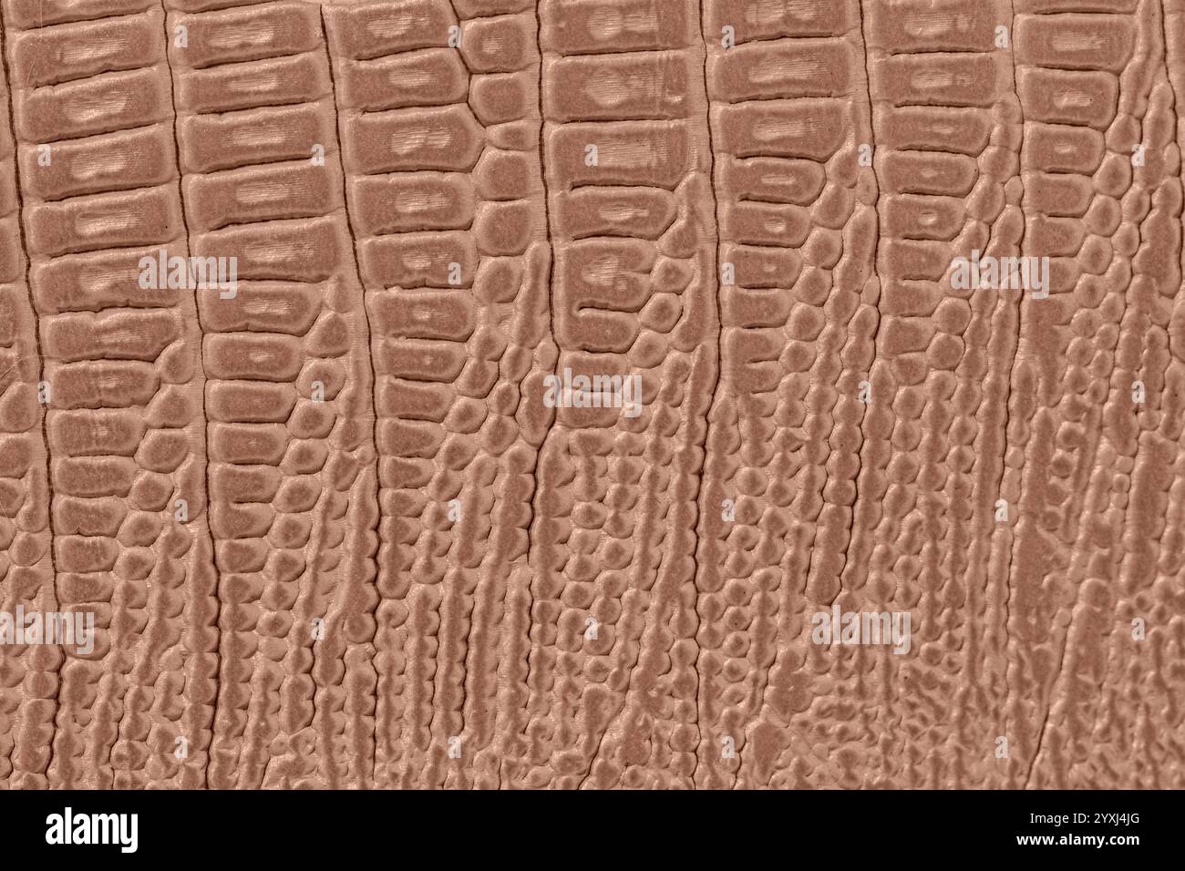 Crocodile skin texture with vertical patterns and detailed scales ...