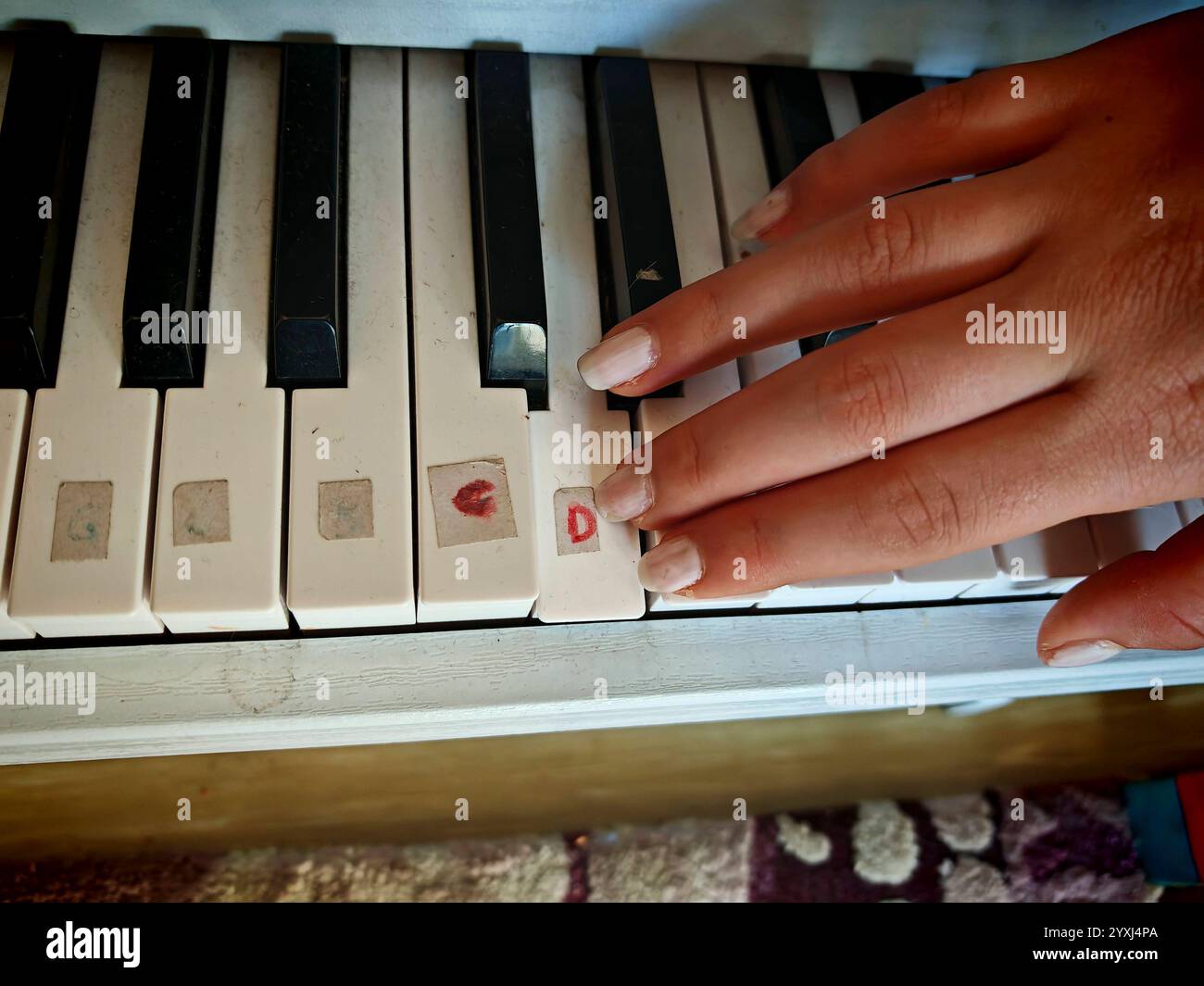 hand and finger for touch and feel, sense of touch hand and finger for ...