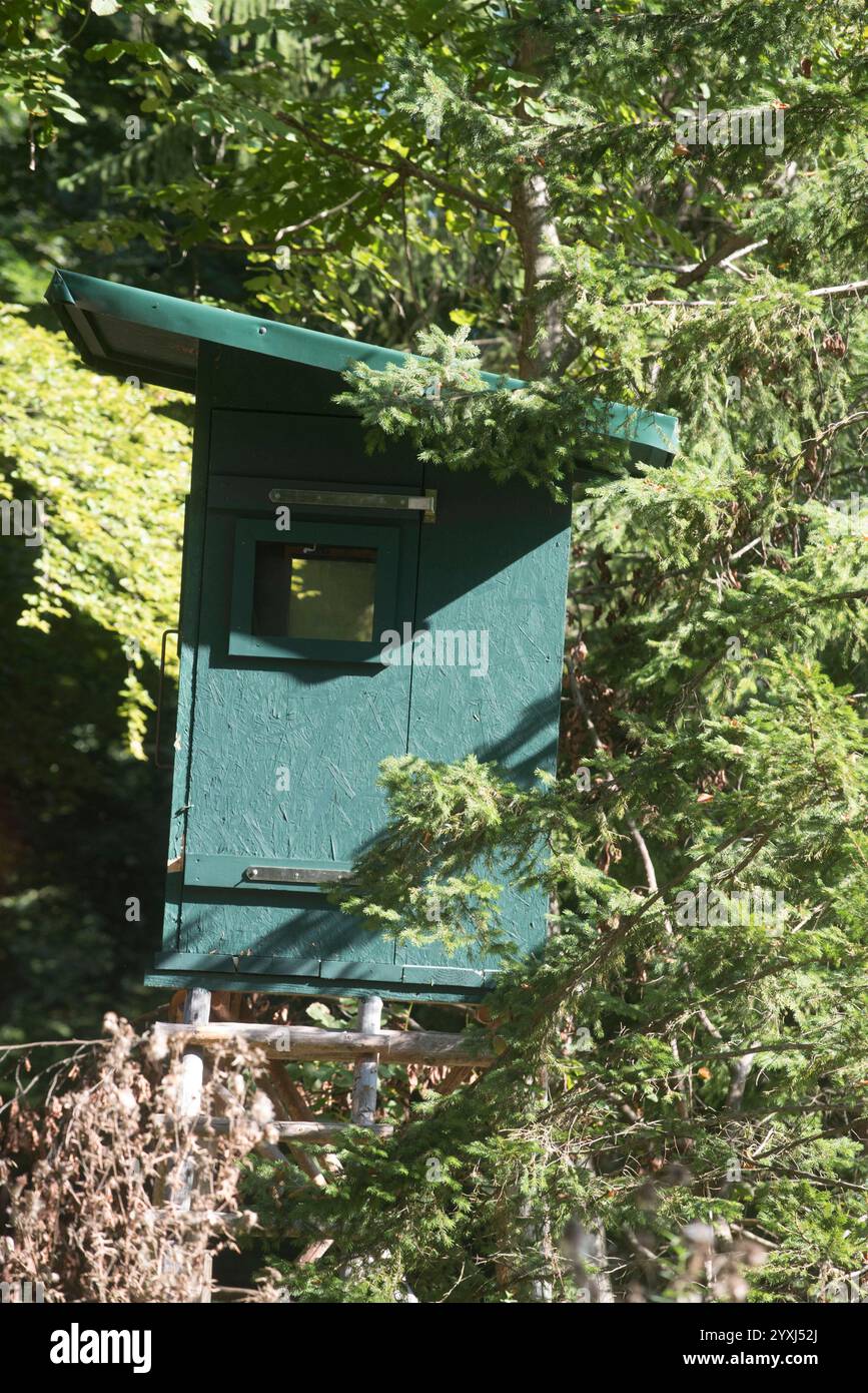 tree stand or raised blind used by hunters in forestry tree stand or ...