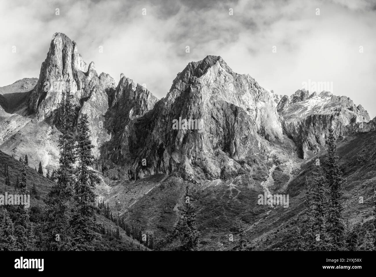 The spires of Snowden Mountain tower over the Arctic tundra and Boreal ...