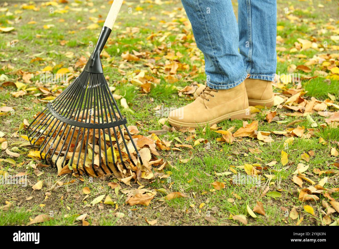 Closeup garden collecting fallen leaves hi-res stock photography and ...