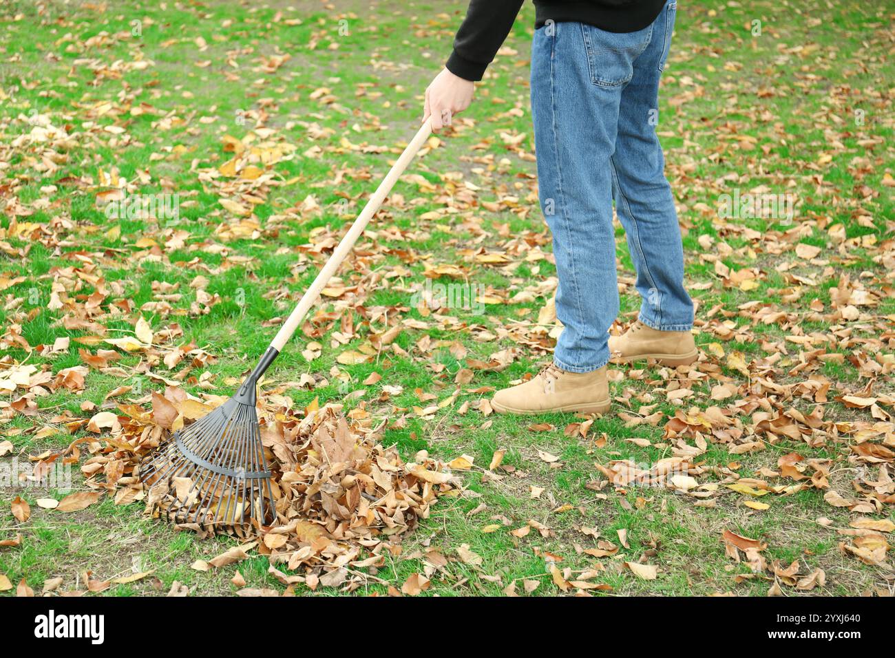 Closeup garden collecting fallen leaves hi-res stock photography and ...