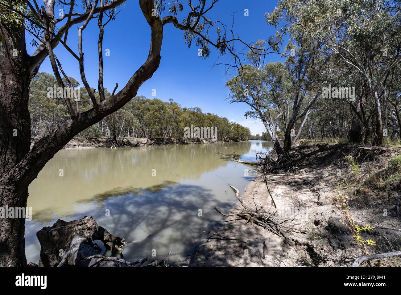 Murrumbidgee river hi-res stock photography and images - Alamy