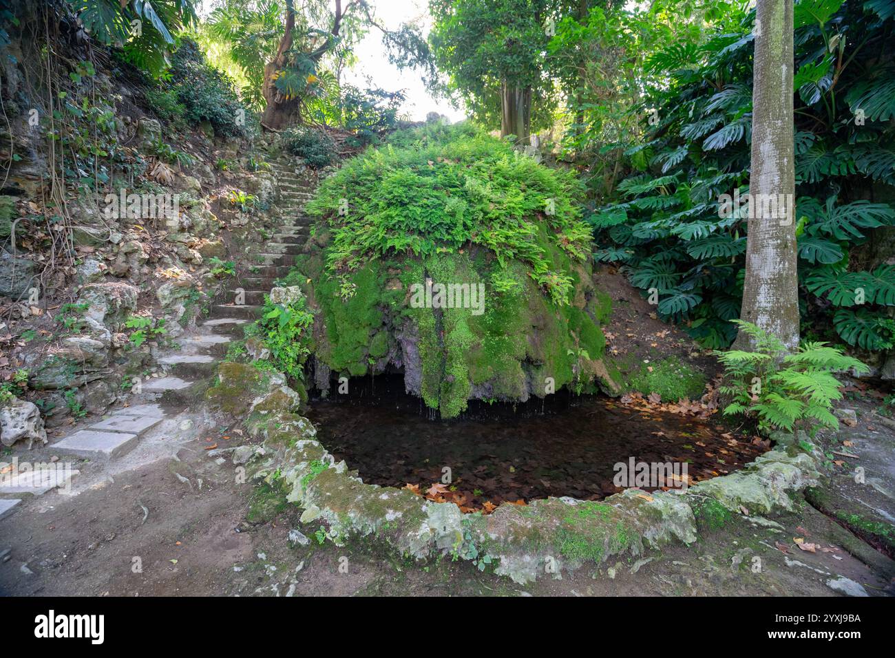 Lumiar garden hi-res stock photography and images - Alamy
