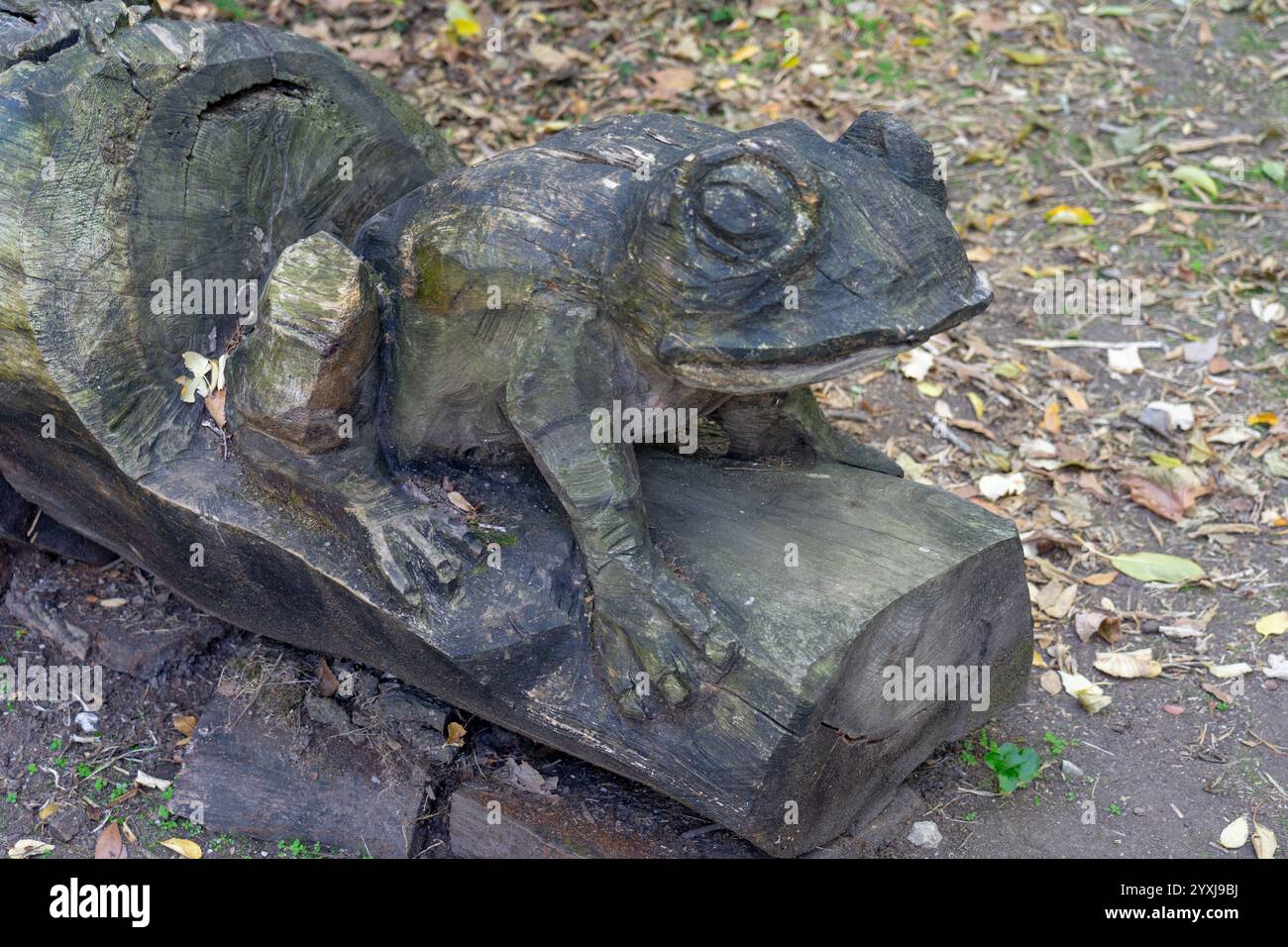 Wooden frog carved from a trunk Stock Photo - Alamy