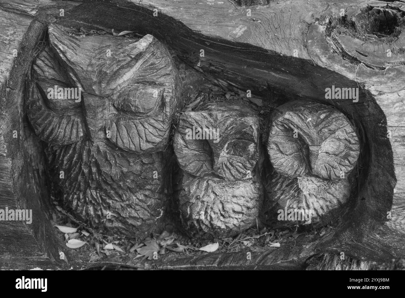 Carved wood representing three owls. black and white image Stock Photo ...