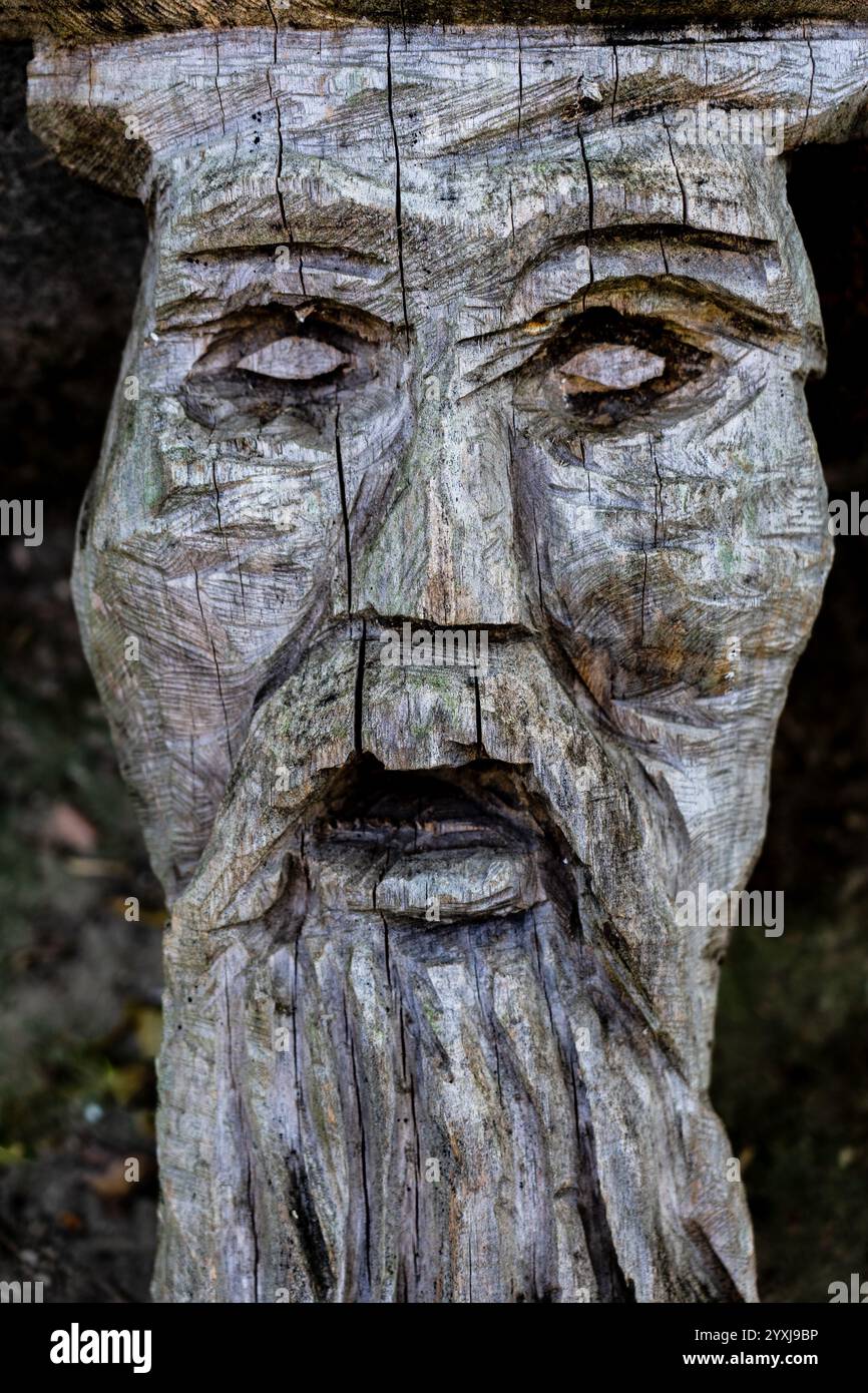 Carved wood representing the face of an old-looking human figure Stock ...