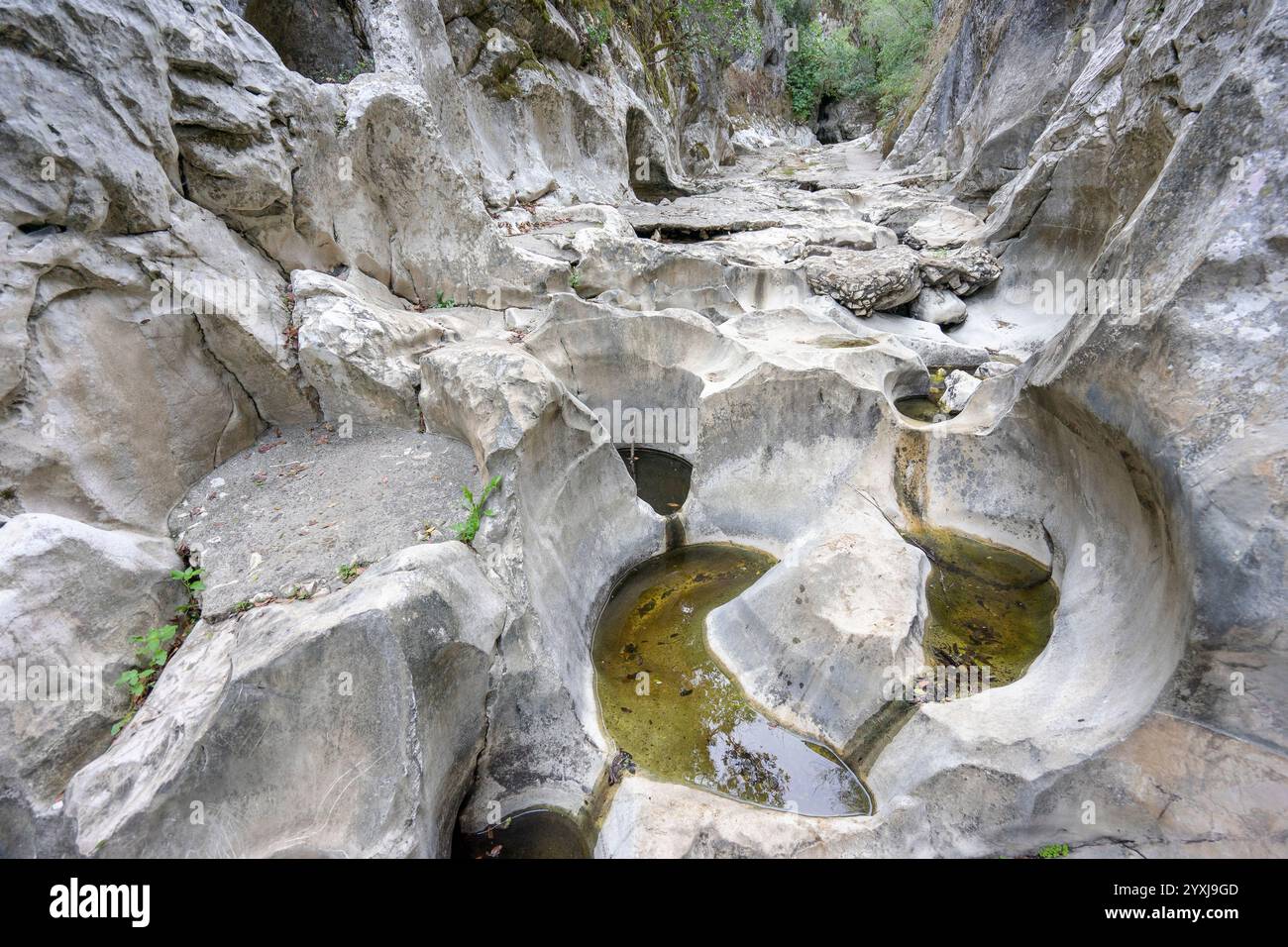 Cavernous rock formations in the shape of a gorge belonging to the ...