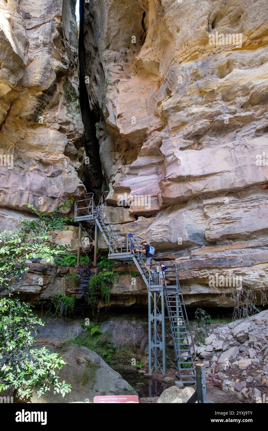 Amphitheatre - Carnarvon Gorge Stock Photo - Alamy