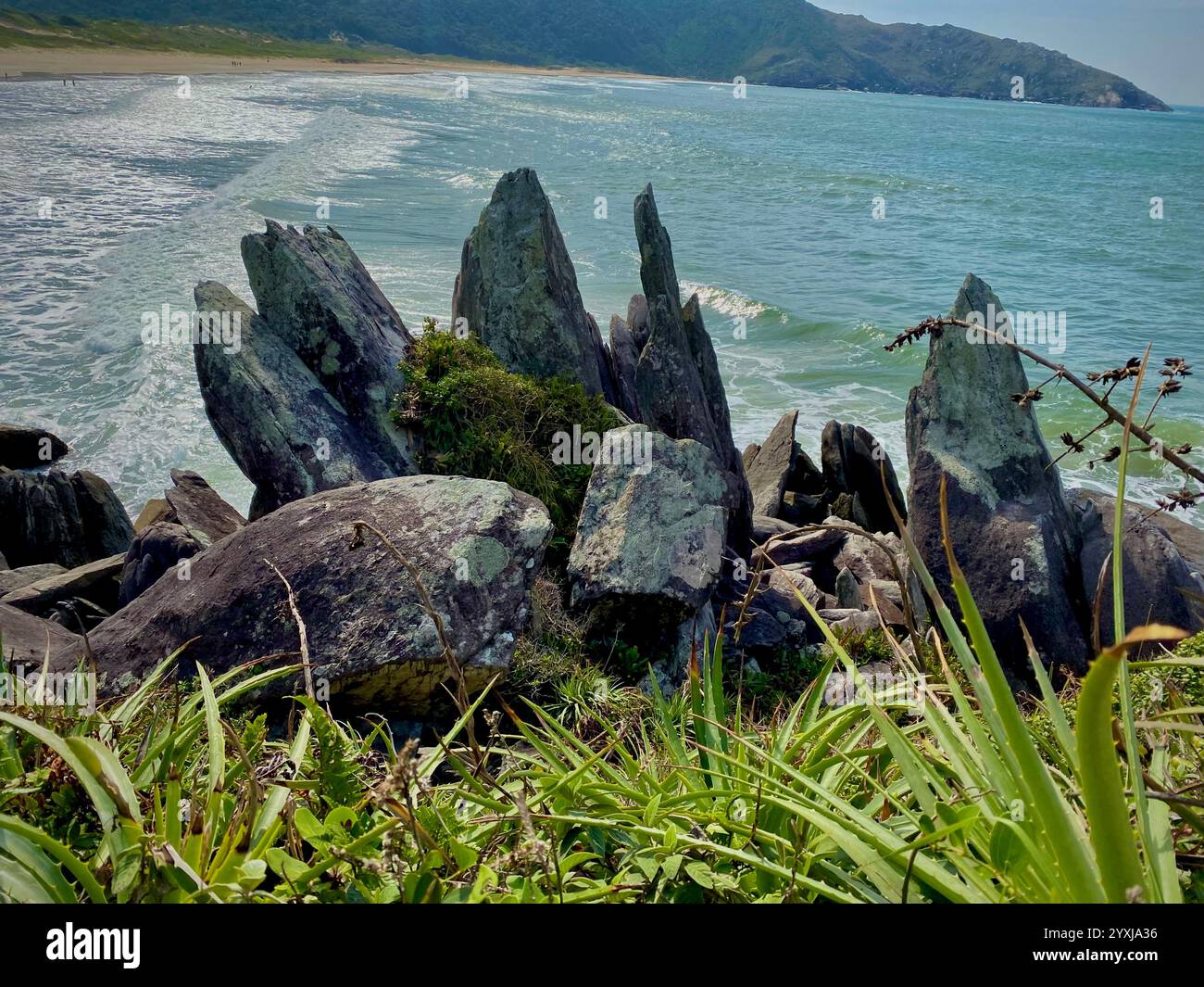 Summer rock tour hi-res stock photography and images - Alamy