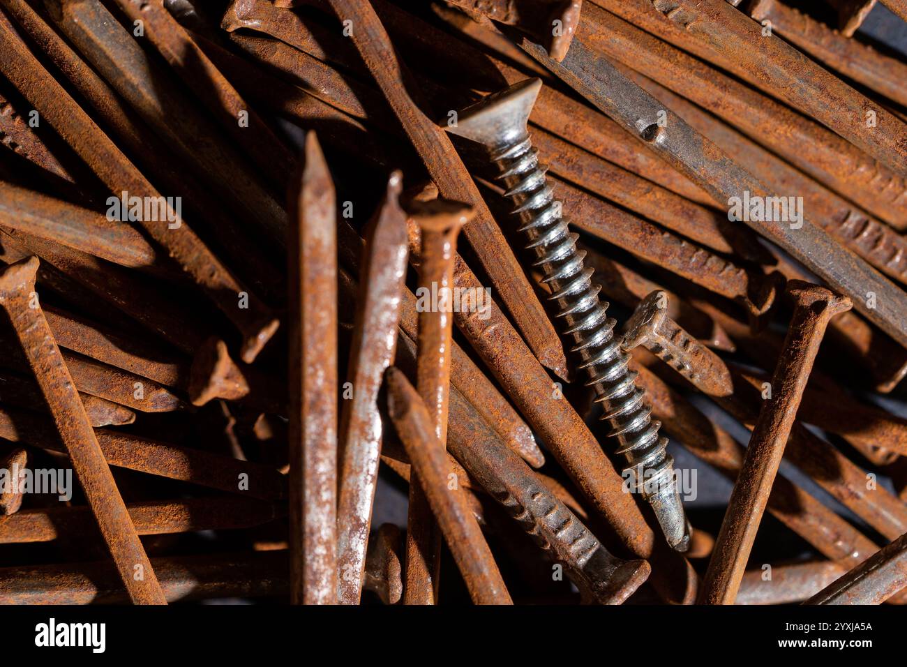 Rusty iron nails piled up in disarray and a new chrome on top Stock ...