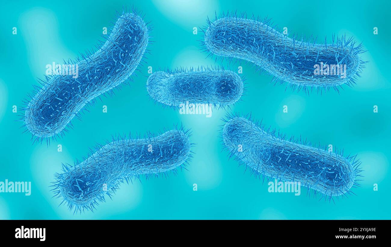 Microscopic view of the Shigella bacteria that causes a disease called ...