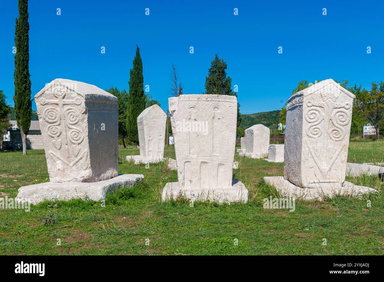 Many monumental medieval tombstones lie scattered in Stolac ...