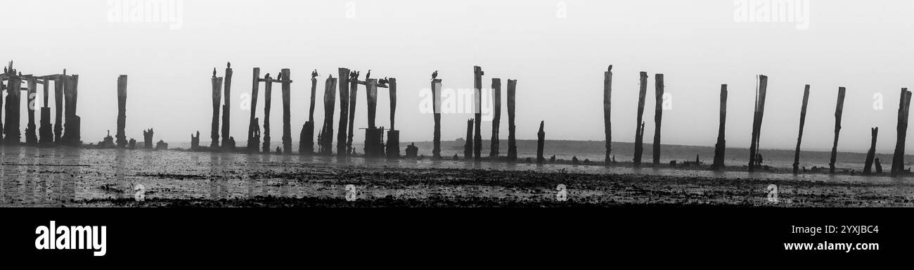 View of remains of wooden bridge destroyed only with stakes in the ...