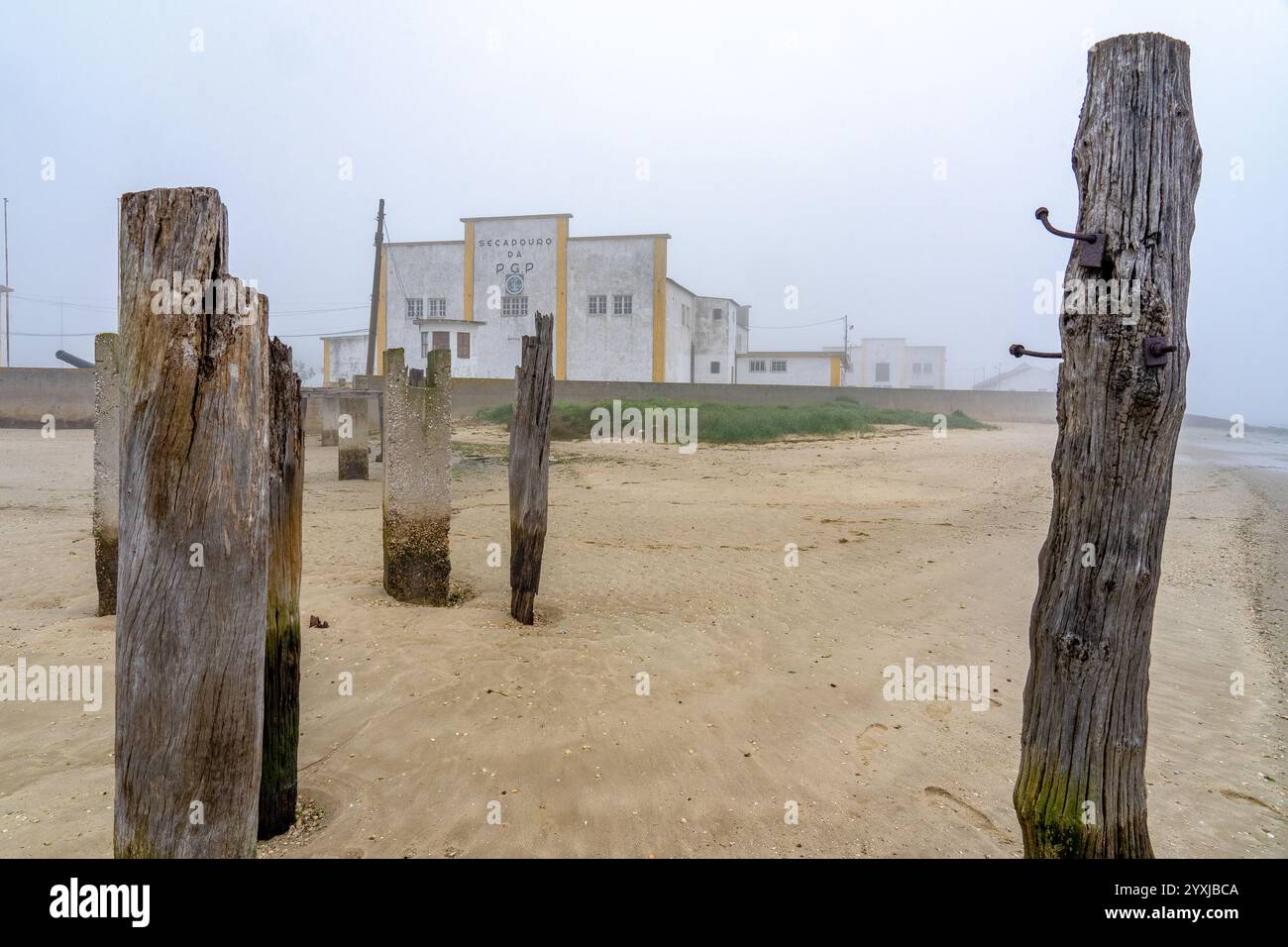 View of remains of wooden bridge destroyed only with stakes in the ...
