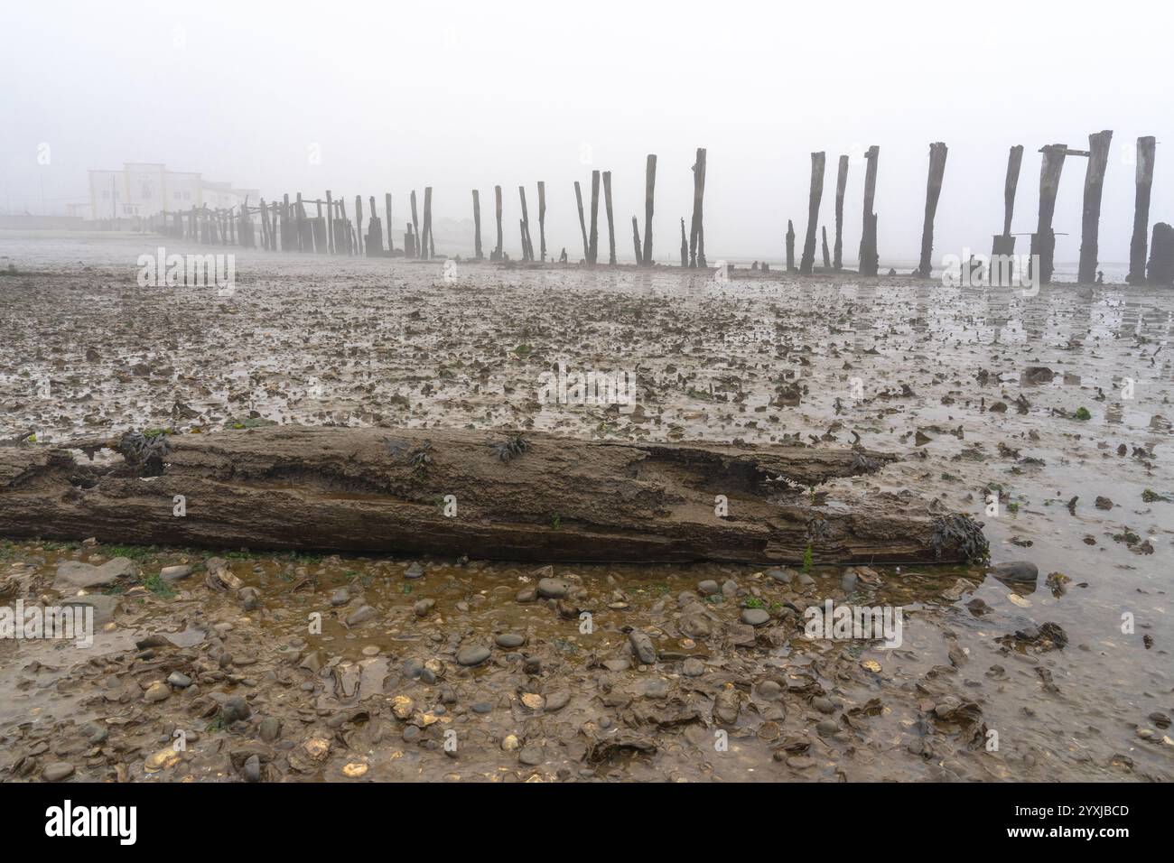 View of remains of wooden bridge destroyed only with stakes in the ...