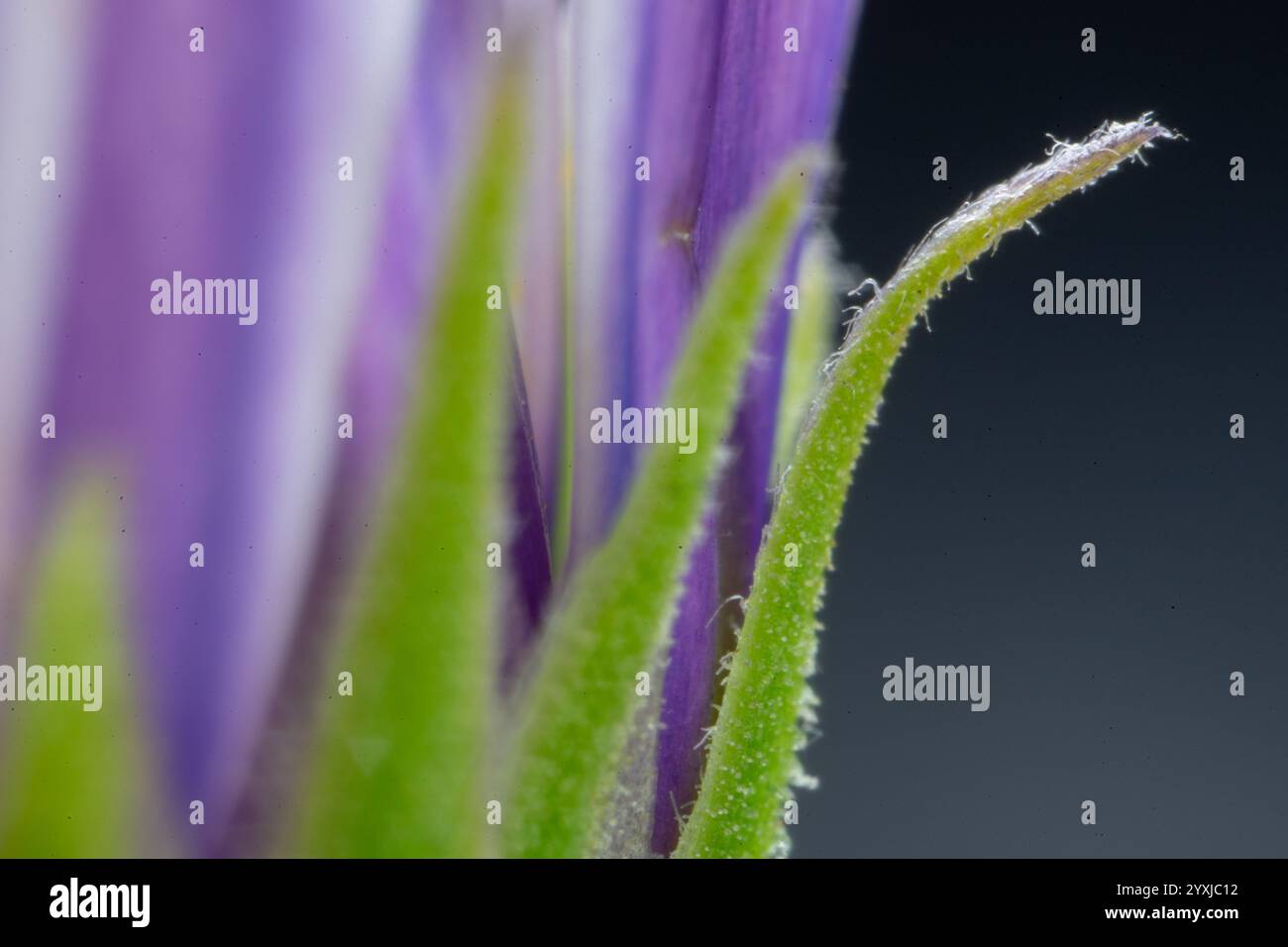 Closeup part hi-res stock photography and images - Alamy