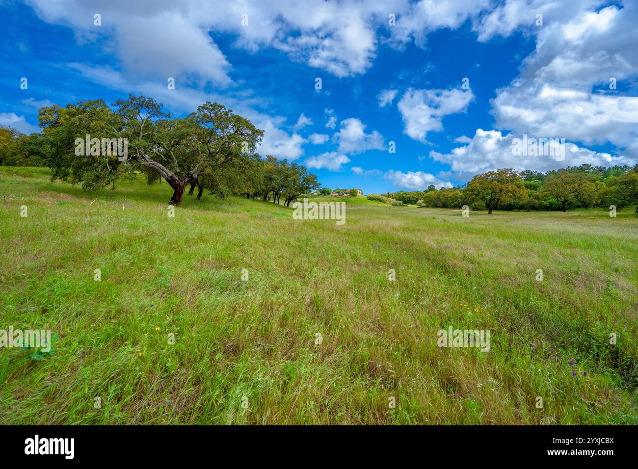 Strong colors hi-res stock photography and images - Alamy