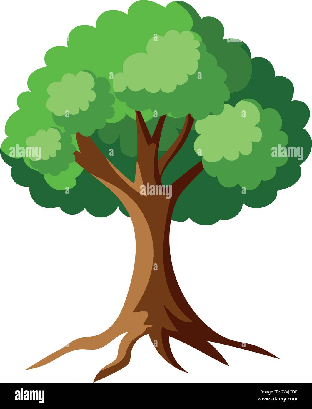 Green fresh leaves elm tree Cut Out Stock Images & Pictures - Alamy
