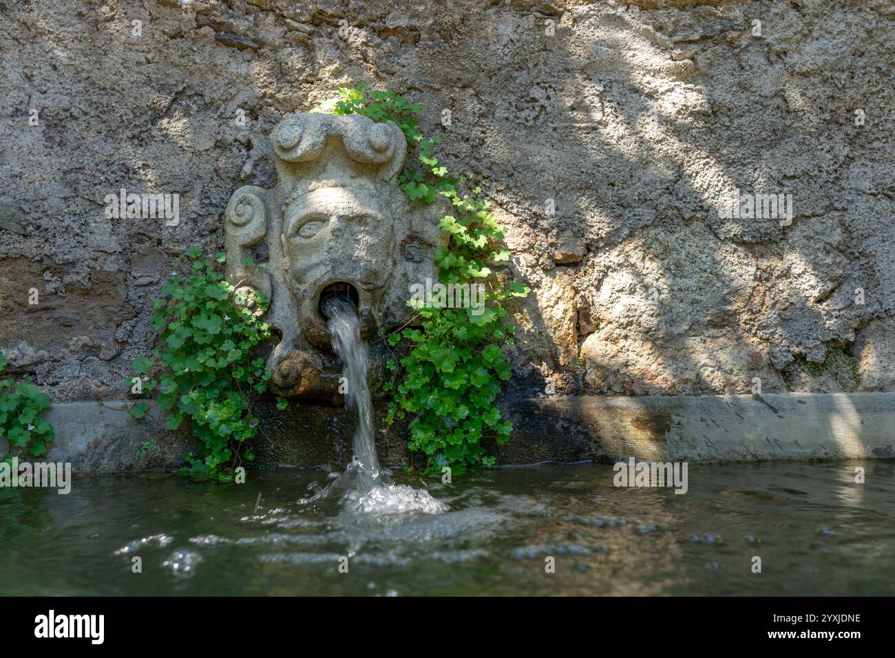 Water source with a human figure head expelling water looking like he ...