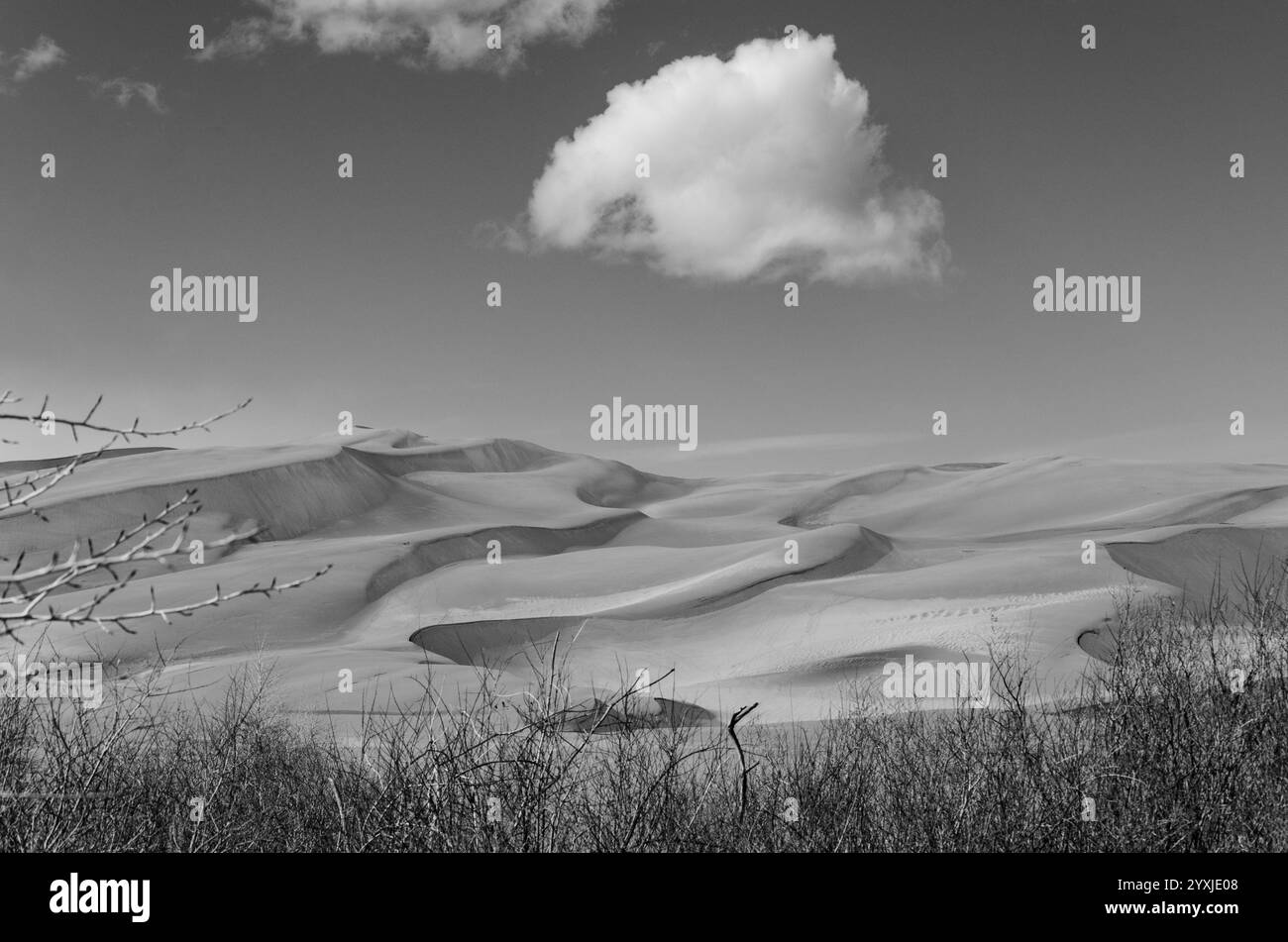 Monochrome Sand Dunes Landscape Under a Single Cloudy Sky Stock Photo ...
