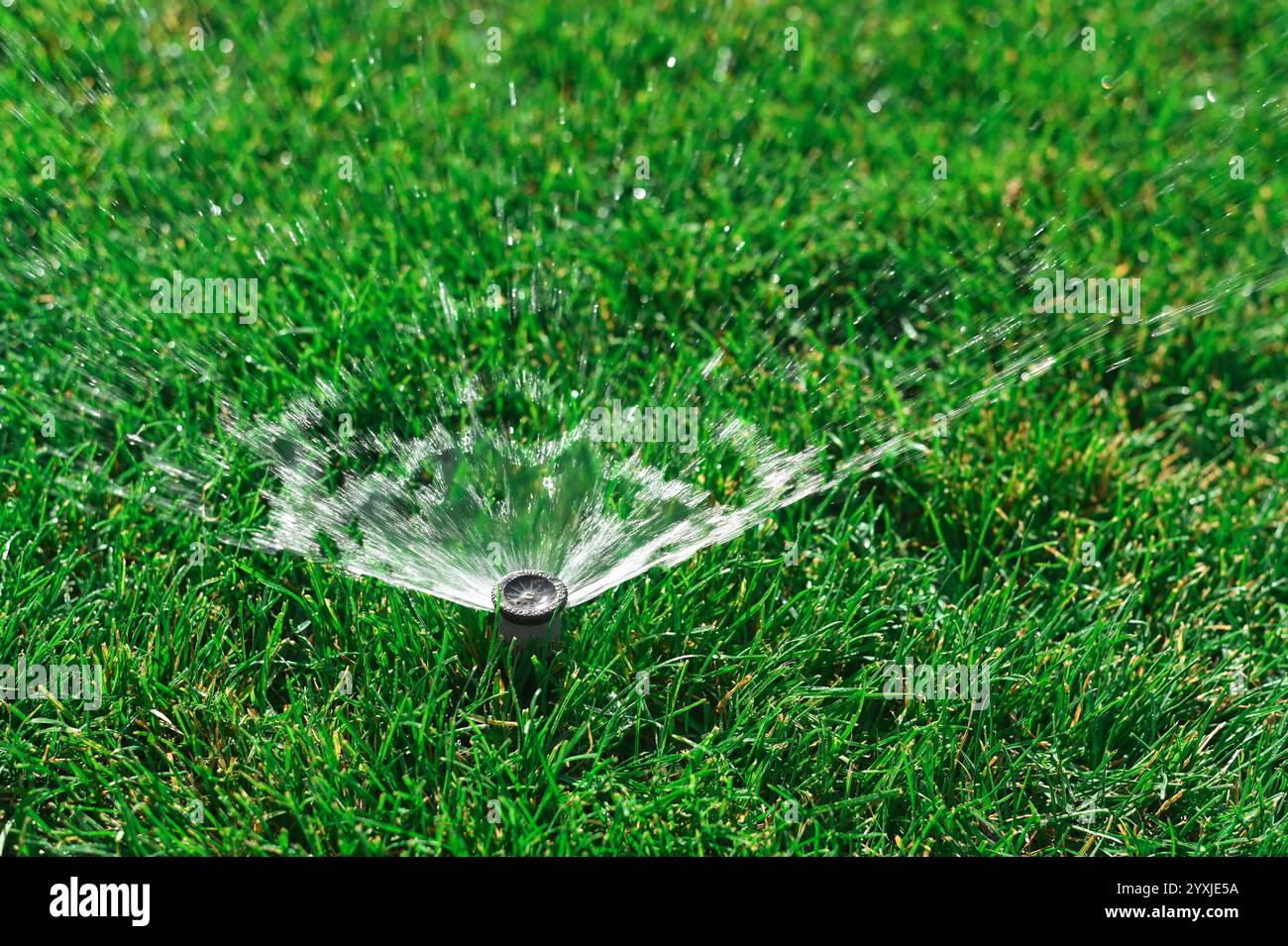 Automatic watering of the lawn with green grass. sprinkler system Stock ...