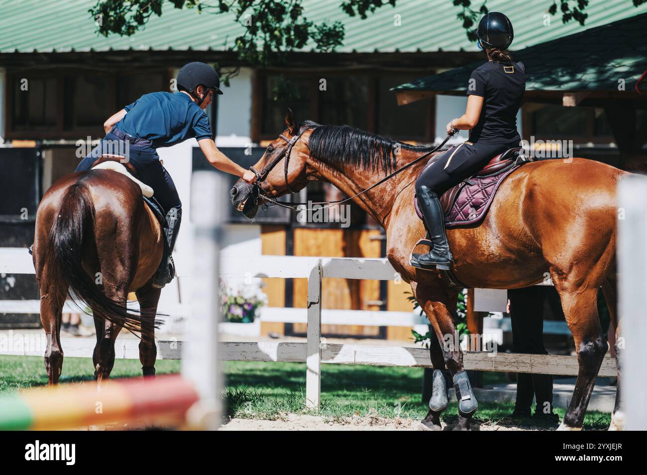 Two equestrians preparing their horses for a ride at a stable Stock ...