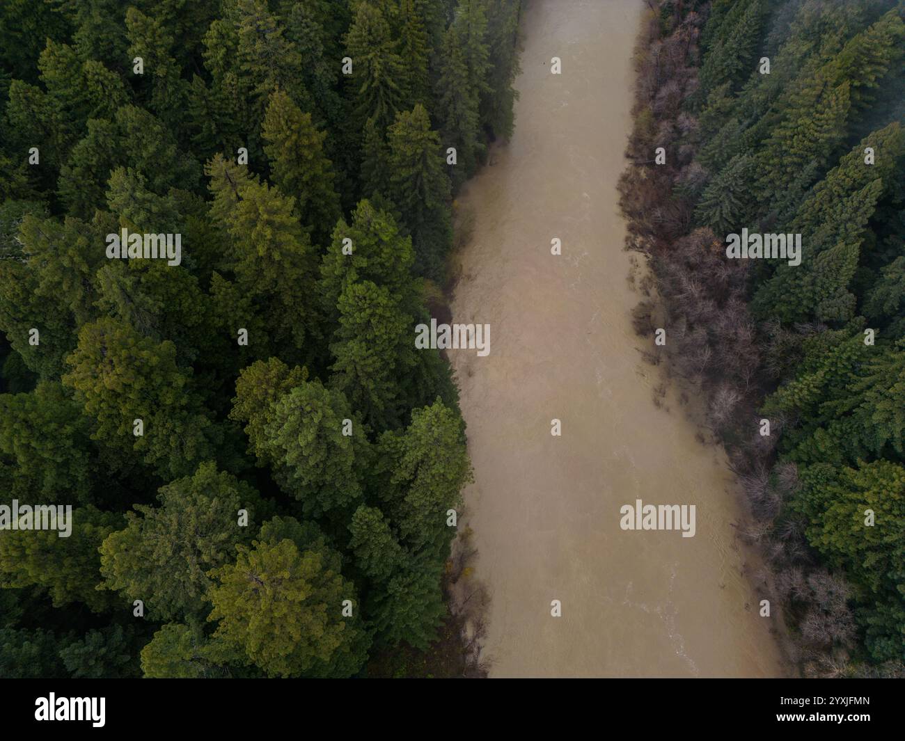 An aerial view of the Eel river in Humboldt county, Northern California ...