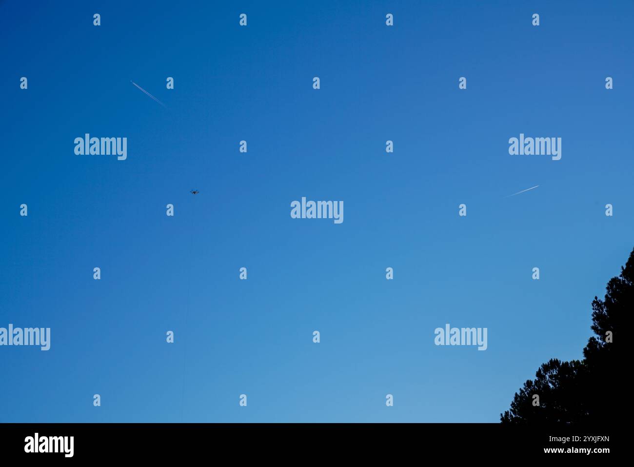 Hallford hi-res stock photography and images - Alamy