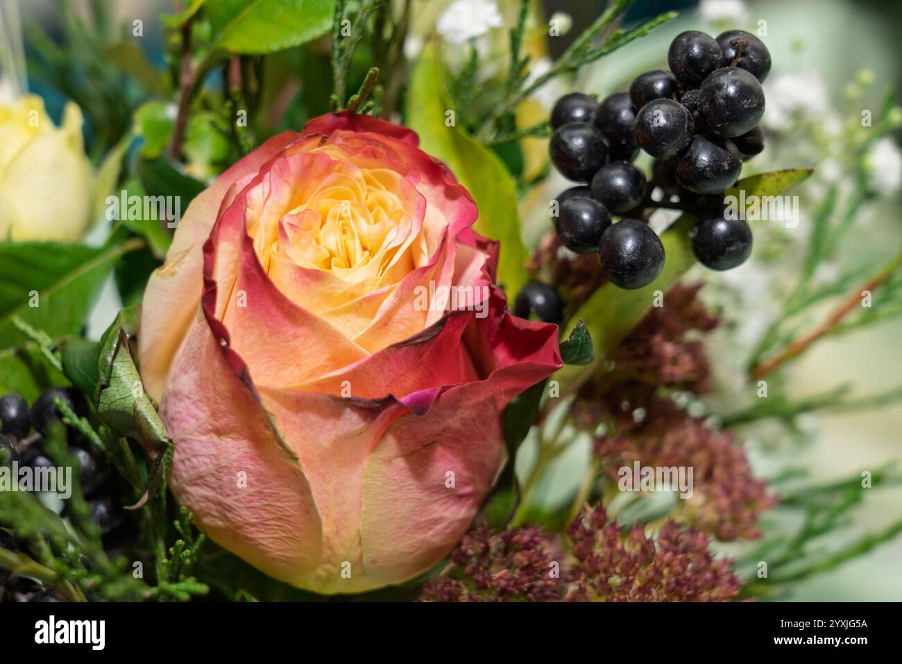 Deep peach color hi-res stock photography and images - Alamy