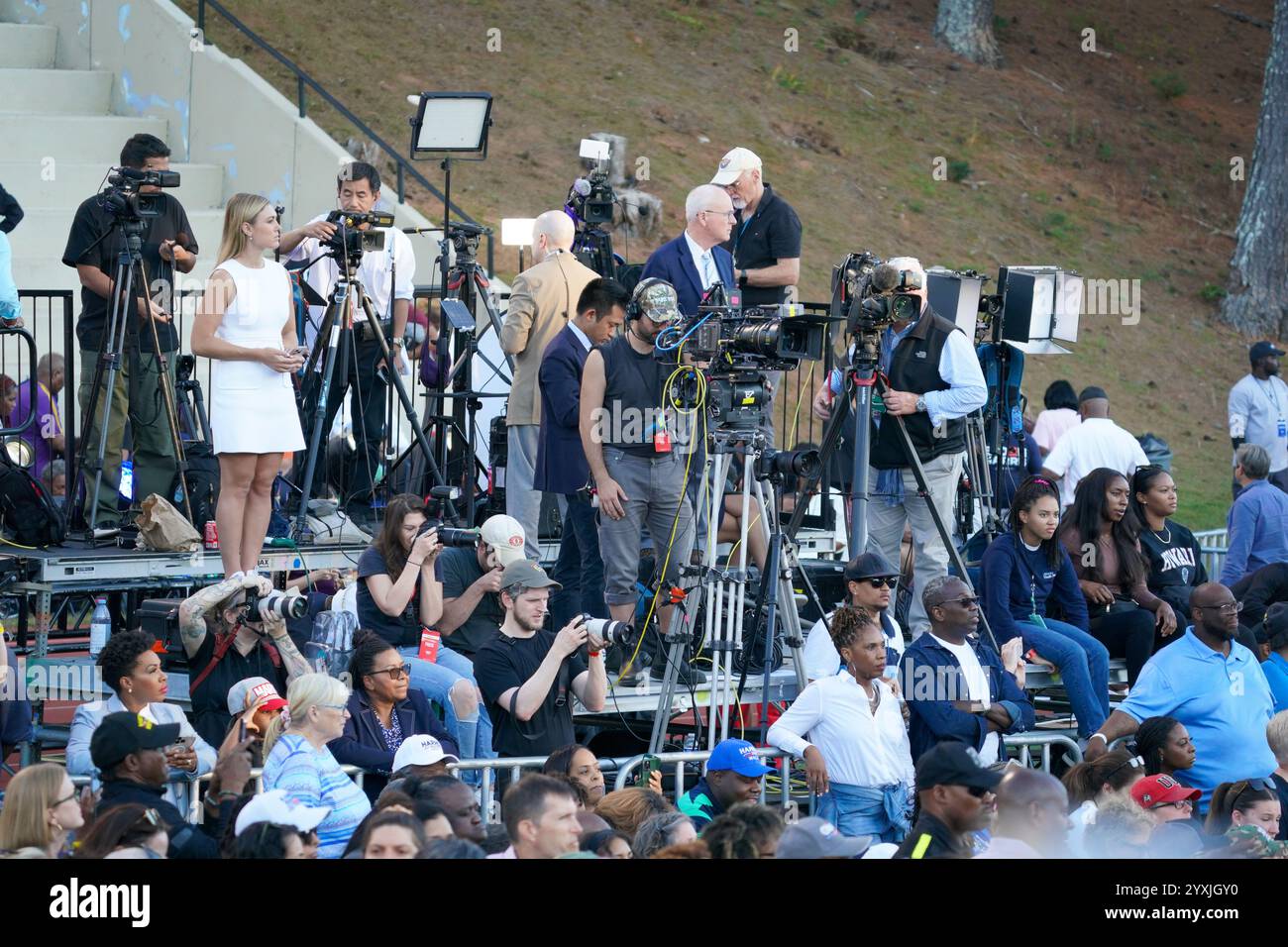 Hallford hi-res stock photography and images - Alamy