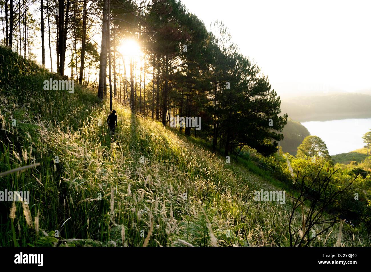 Men in nature hi-res stock photography and images - Alamy