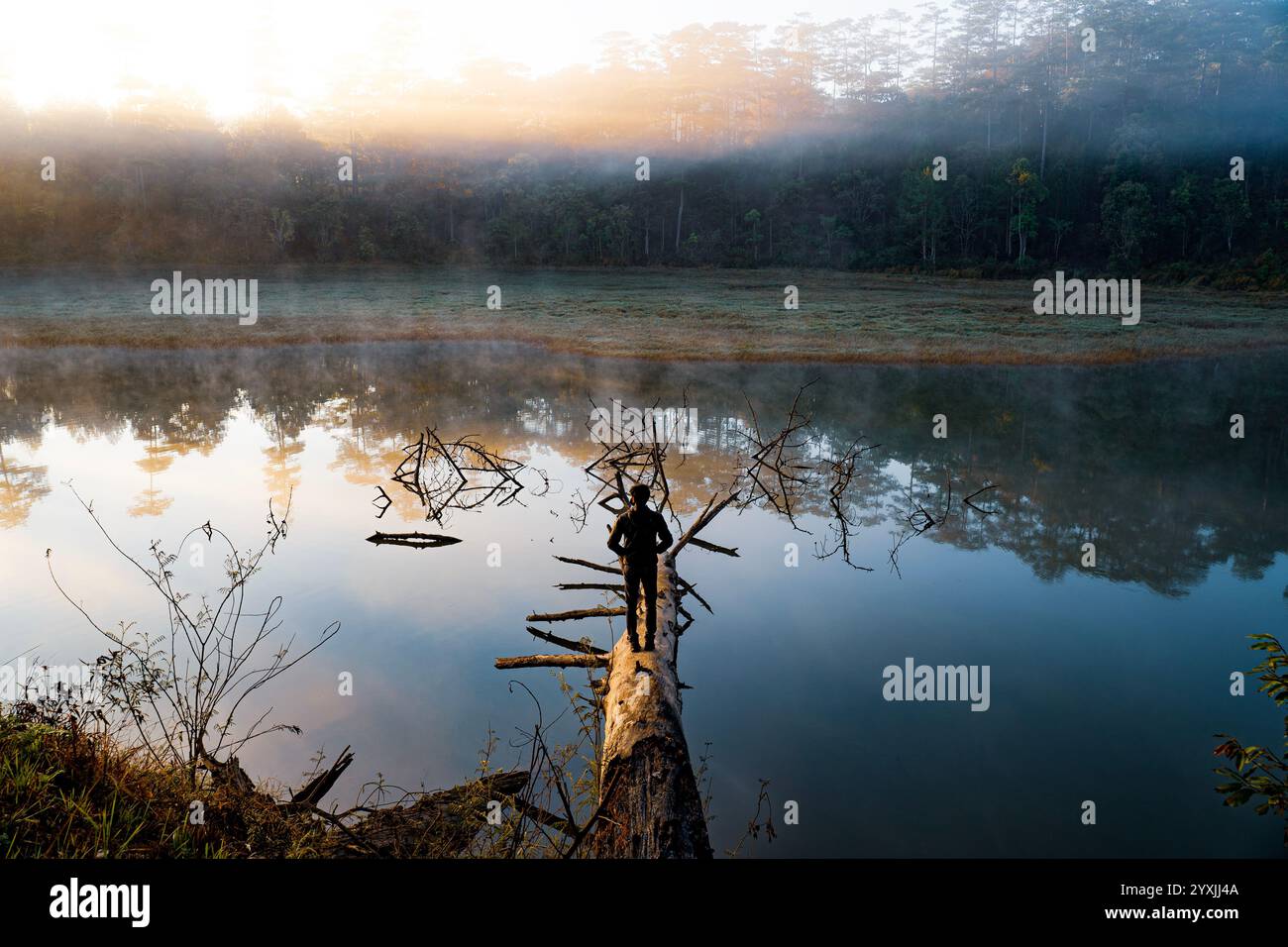 A MEN IN NATURE Stock Photo - Alamy
