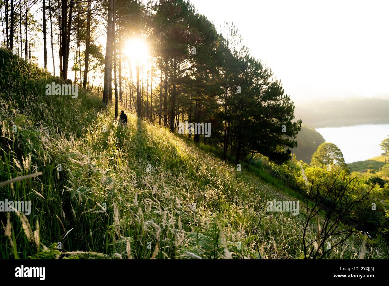 Men in nature hi-res stock photography and images - Alamy